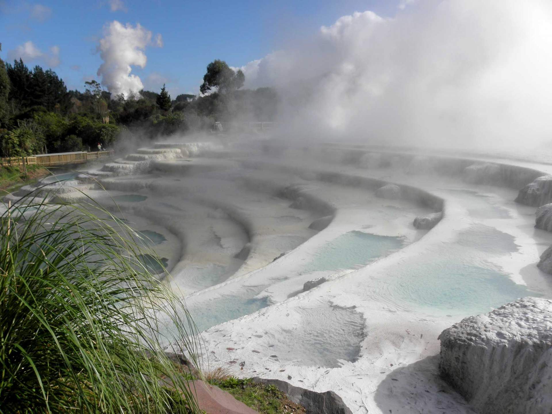 Newsletters | NZ Geothermal Association